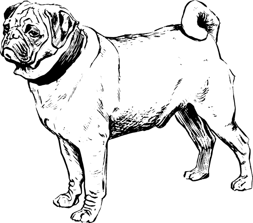 Introduction to MoBPS